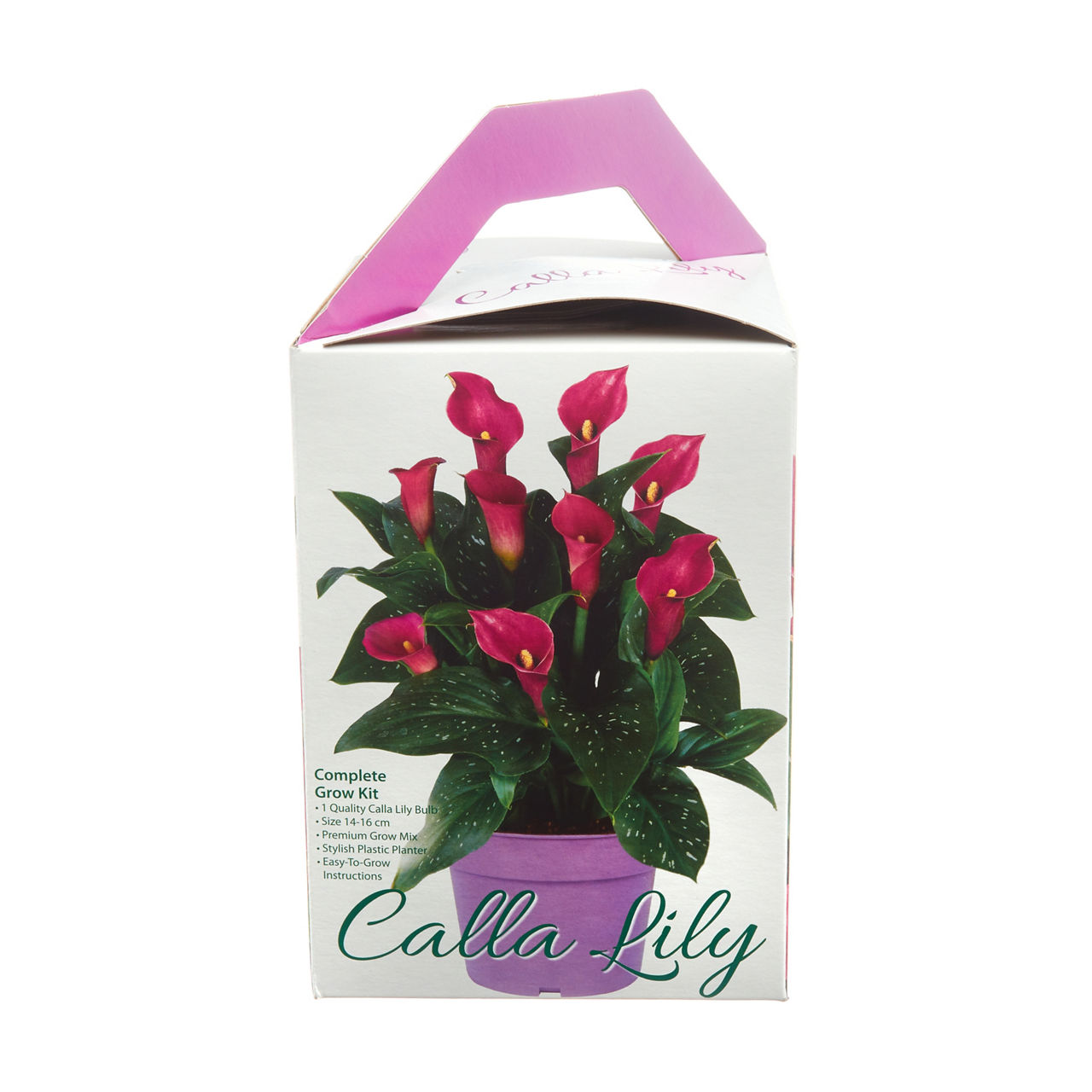 Calla Lily Complete Grow Kit