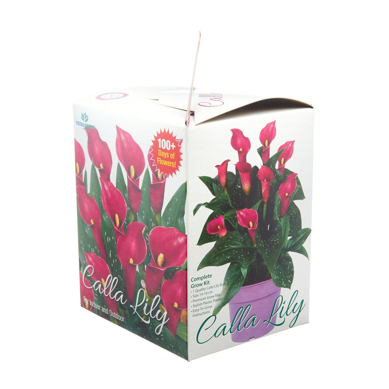 Calla Lily Complete Grow Kit