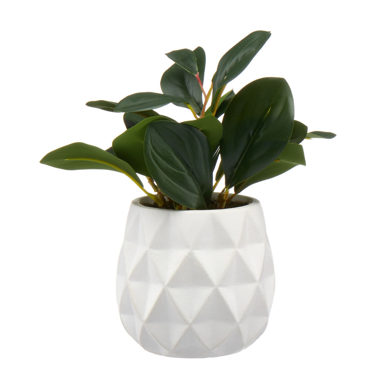 Faux Plant in White Textured Pot