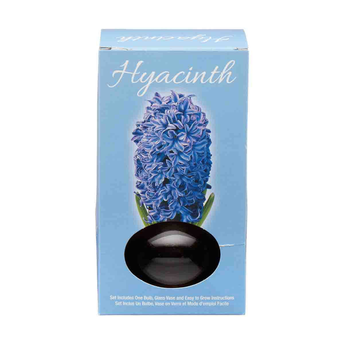 TotalGreen Indoor Hyacinth Grow Kit