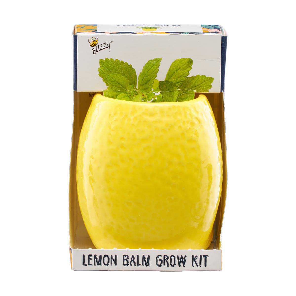 Buzzy Lemon Balm Grow Kit