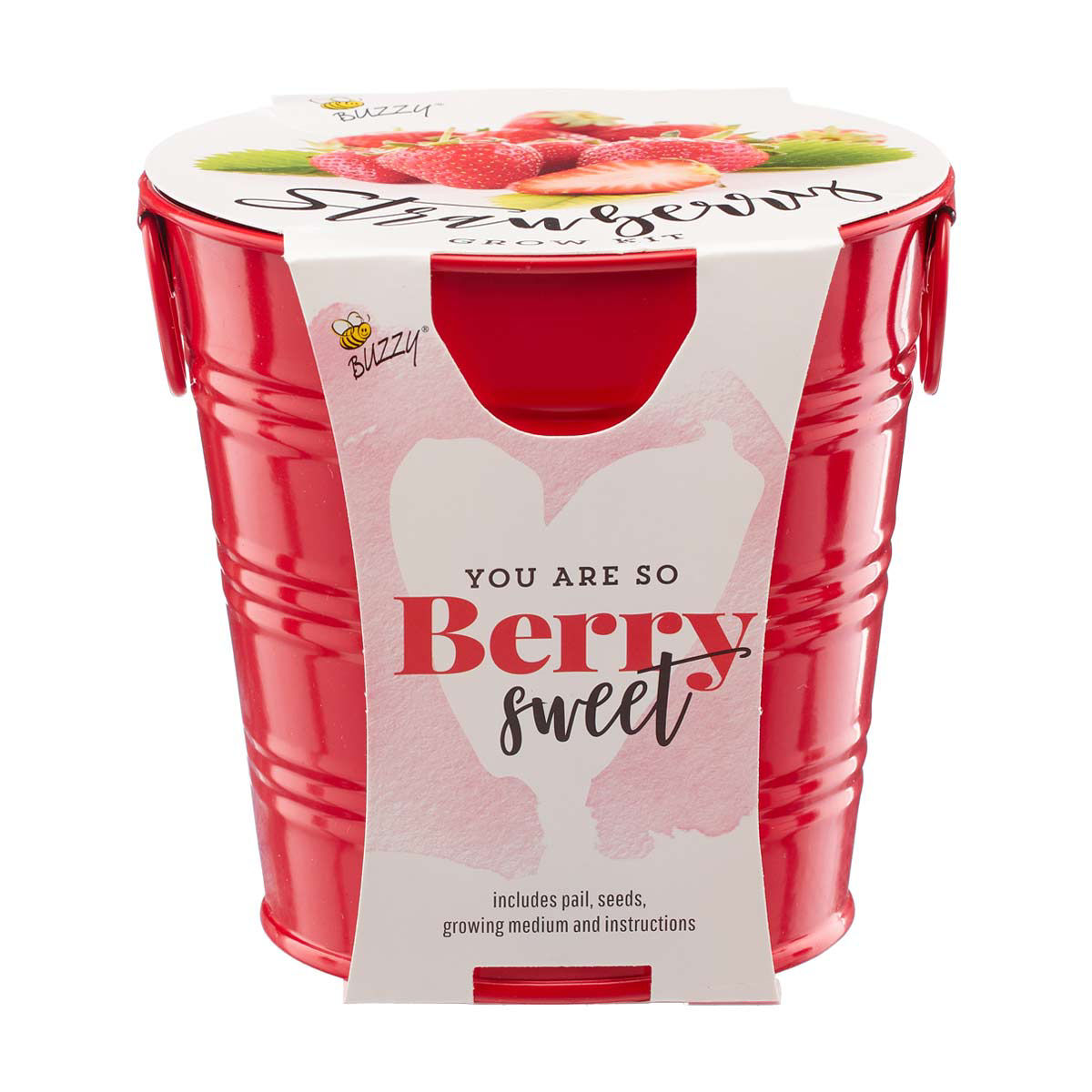 Buzzy Strawberry Complete Grow Kit