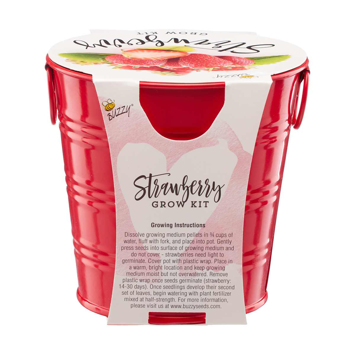 Buzzy Strawberry Complete Grow Kit