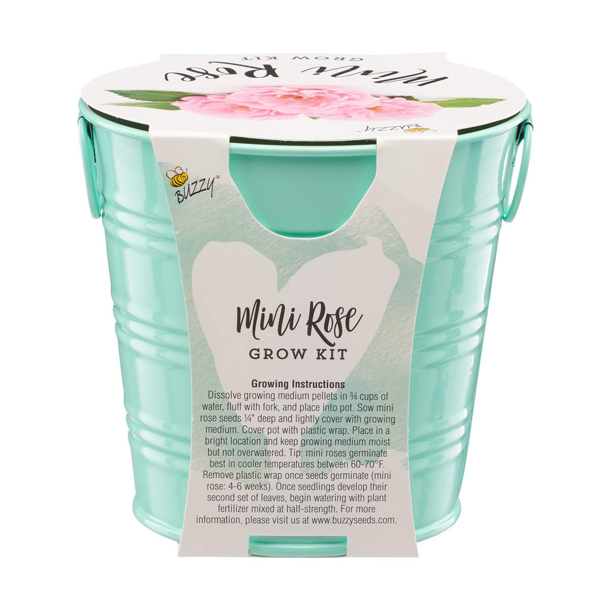 Buzzy Mini Rose Grow Kit