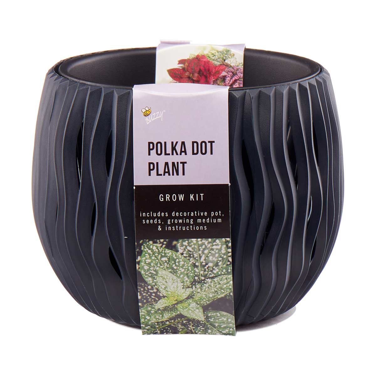 Buzzy Complete Polka Dot Plant Grow Kit