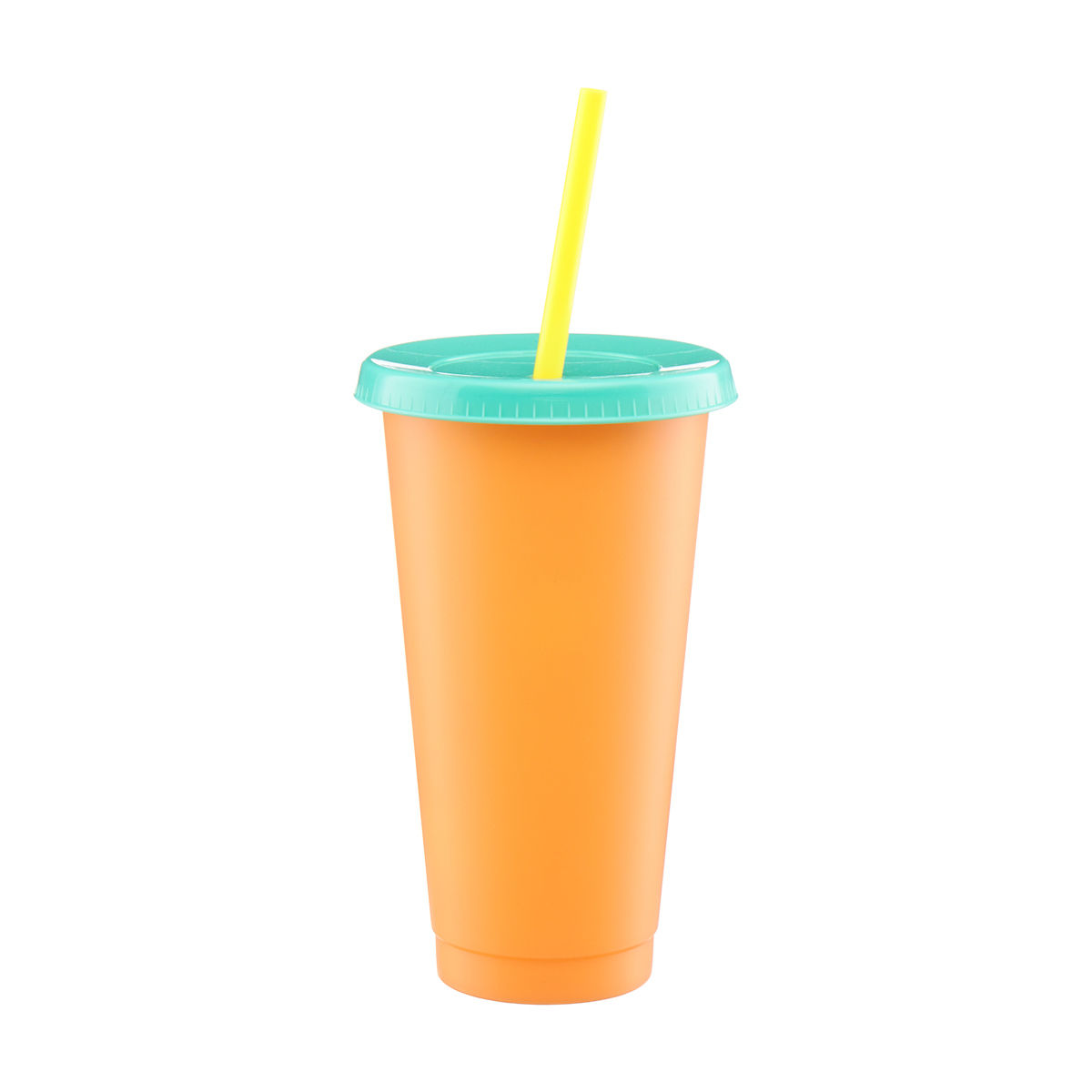 Color Changing Drinking Tumbler with Lid and Straw