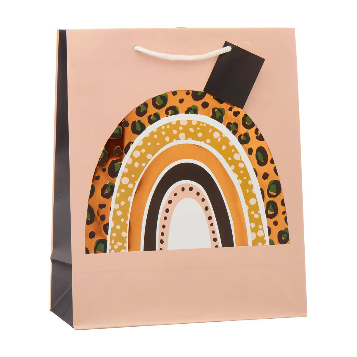 Rainbow Gift Bag with Gift Tag, Large