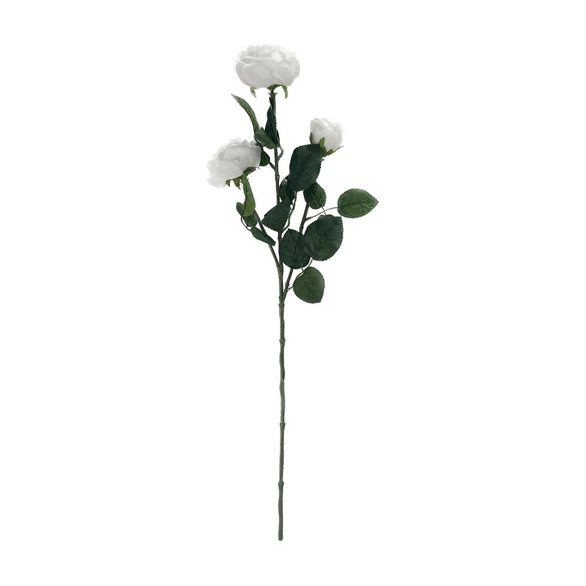 Popshelf Rose Stem | Hamilton Place