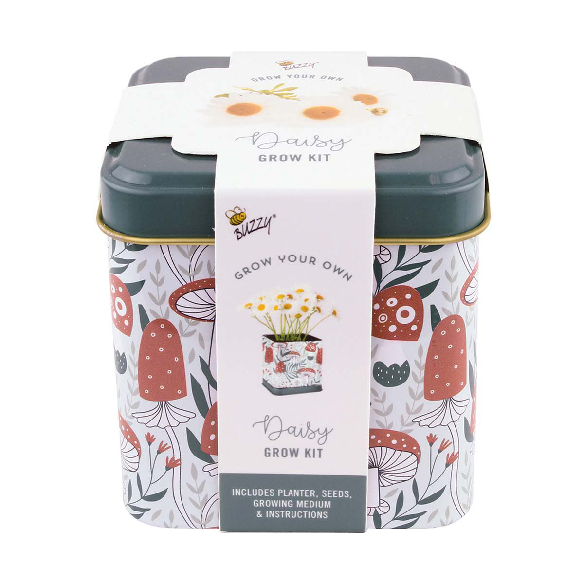Buzzy Decorative Square Tin Daisy Grow Kit