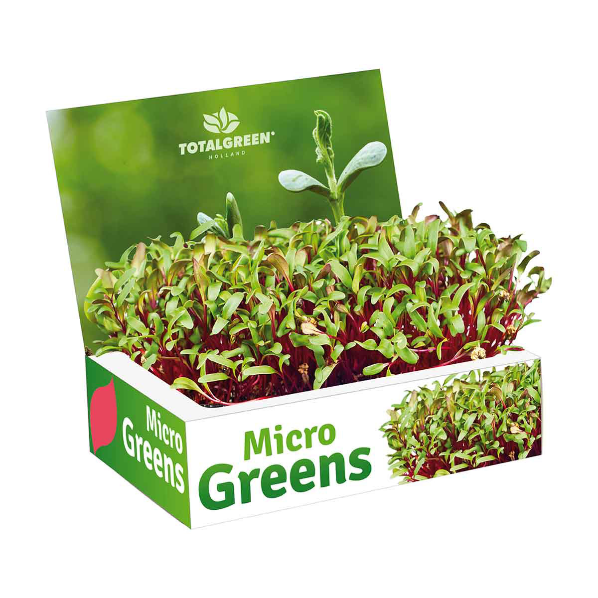 Instant Microgreens Grow Kit