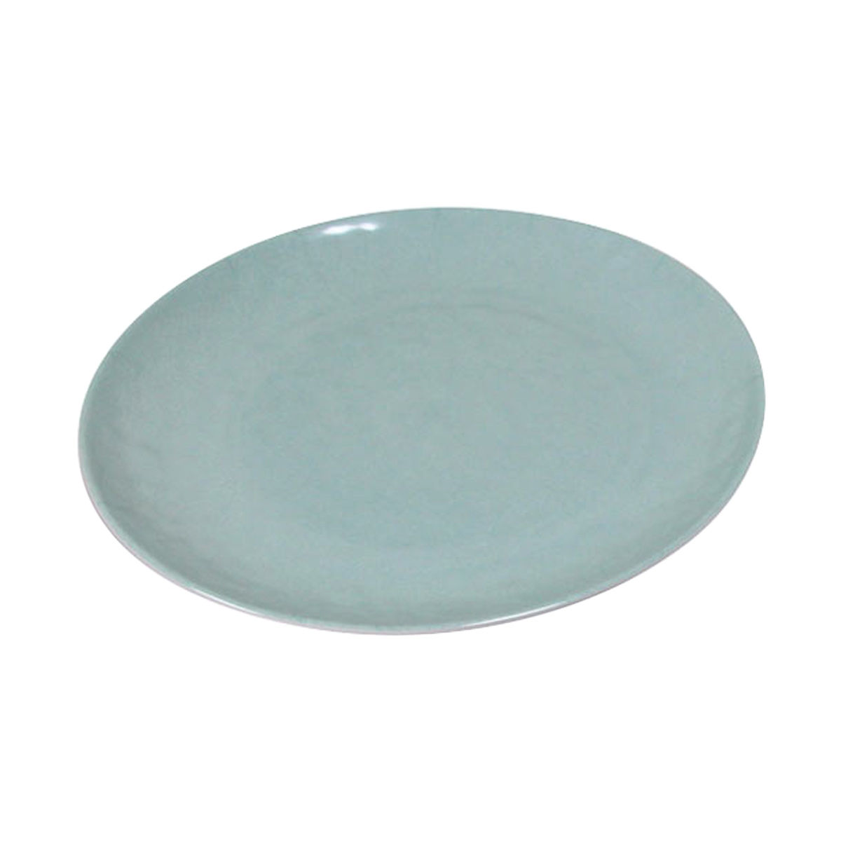 Bright Dinner Plate