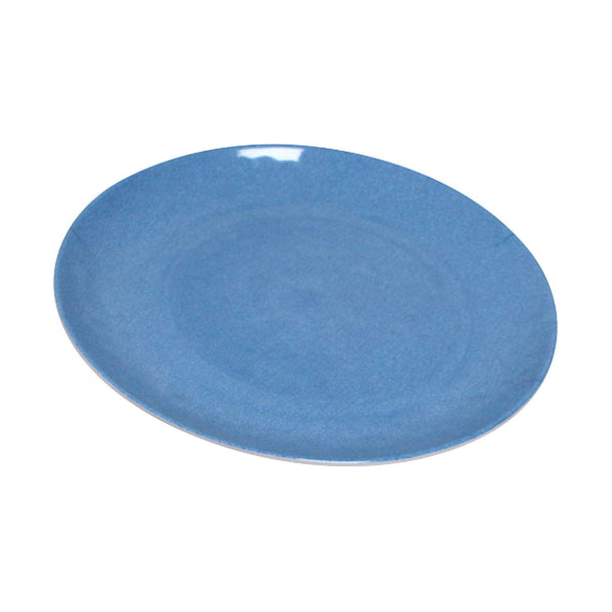 Bright Dinner Plate