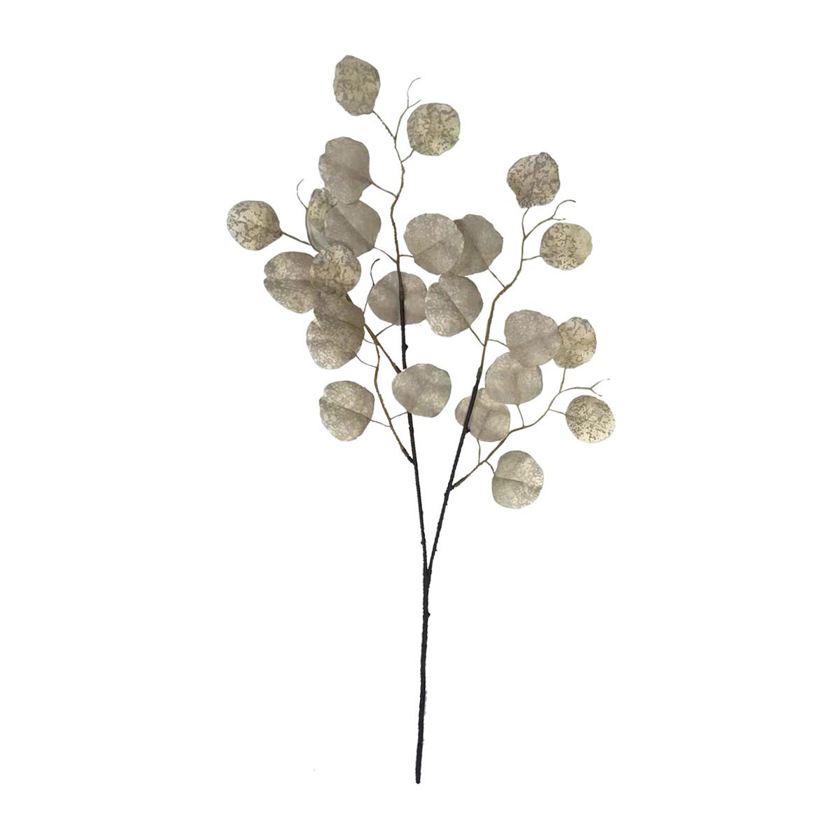 Artificial Silver Dollar Stem