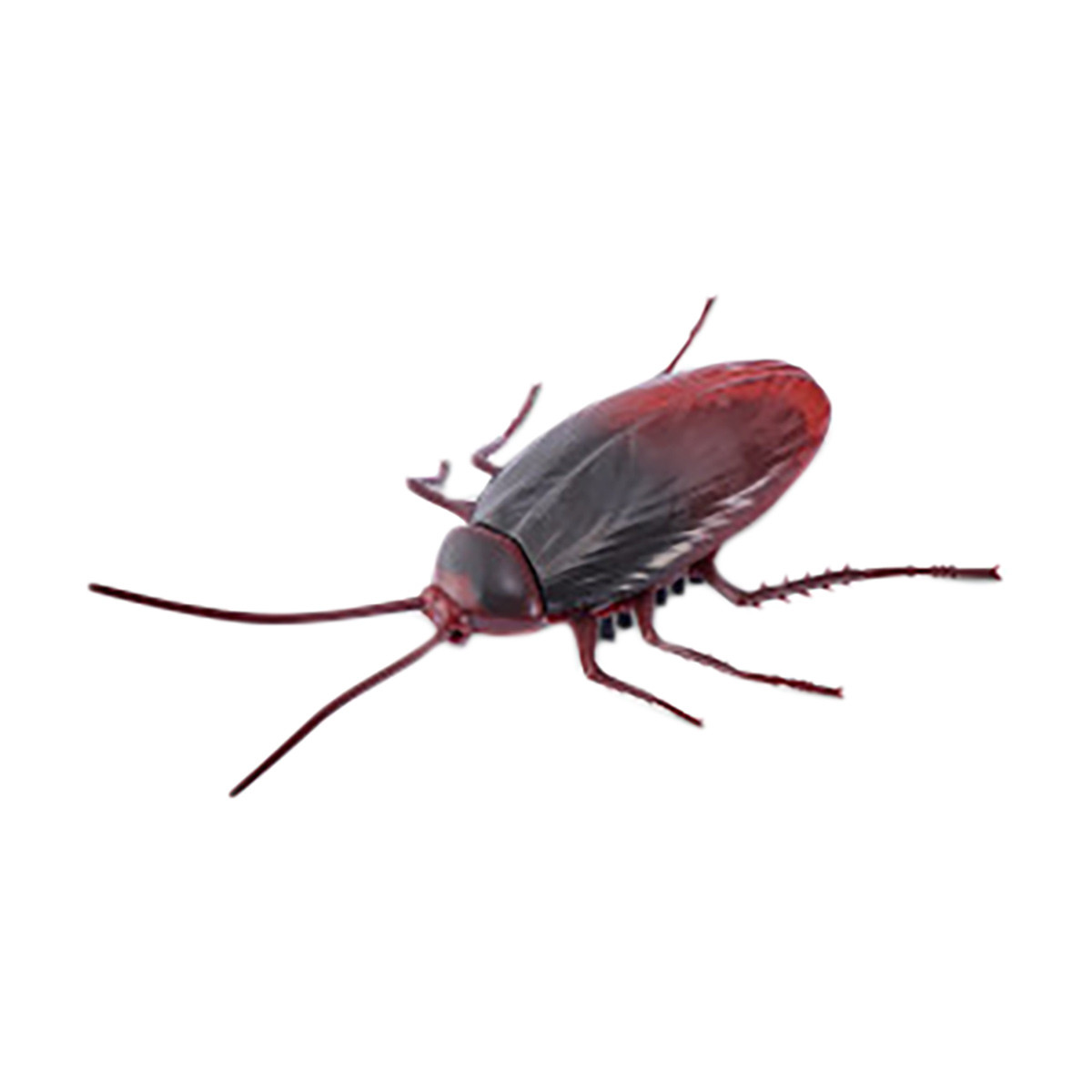 Zuru Robo Alive Crawling Spider Battery-Powered Robotic Toy