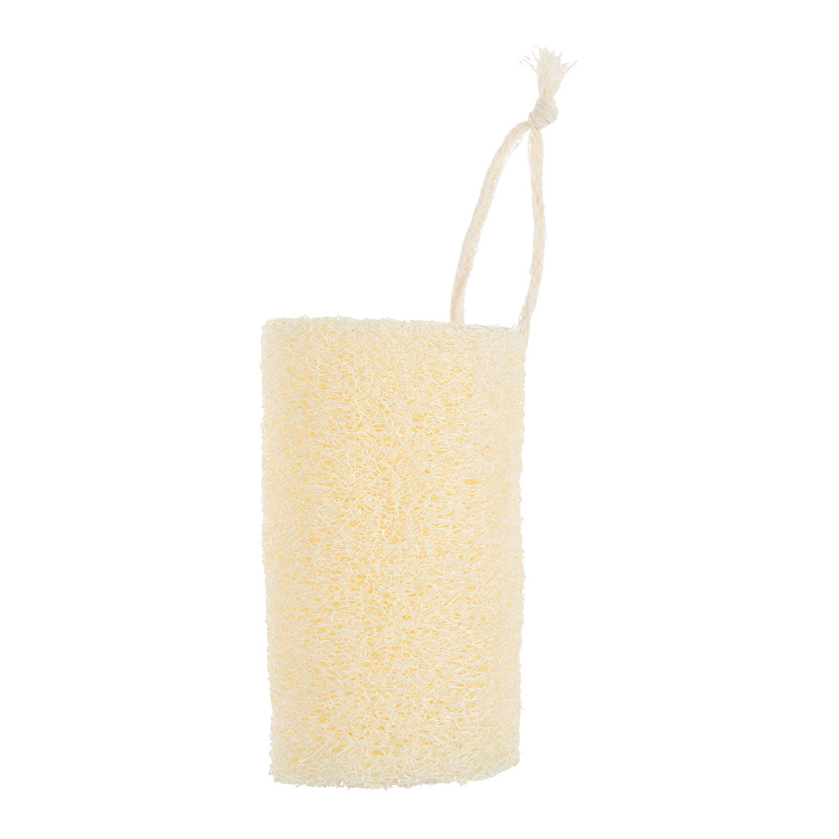 Loofah Dishwashing Sponge
