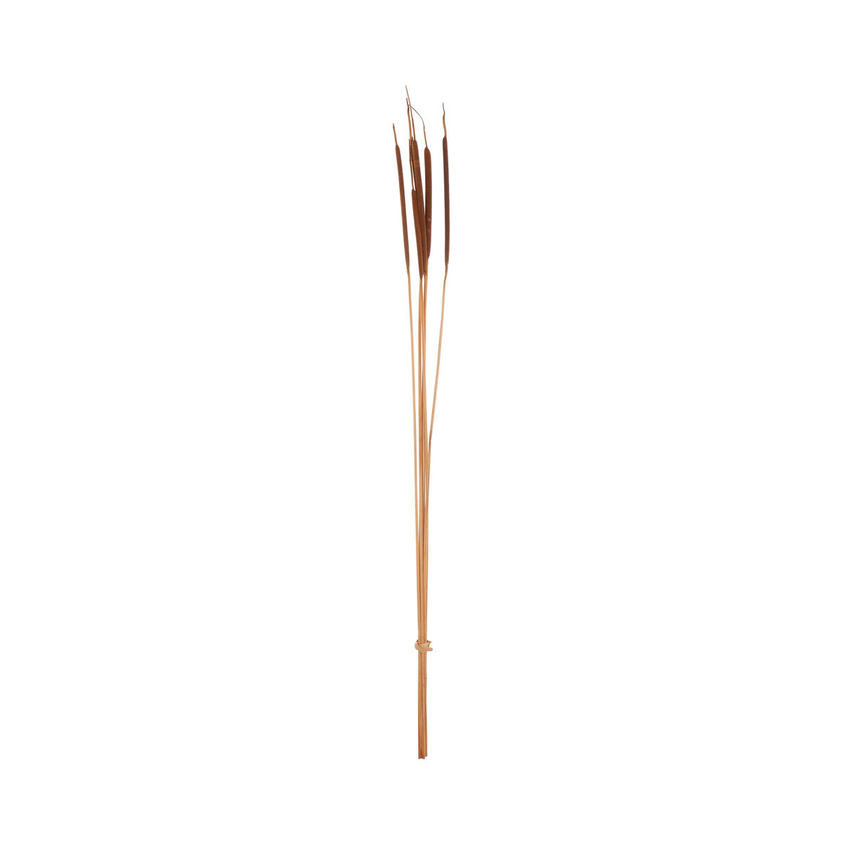 Decorative Cattails Bush, Brown