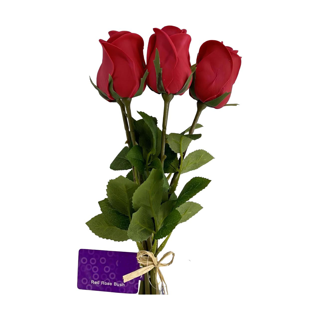Rose Bush Red
