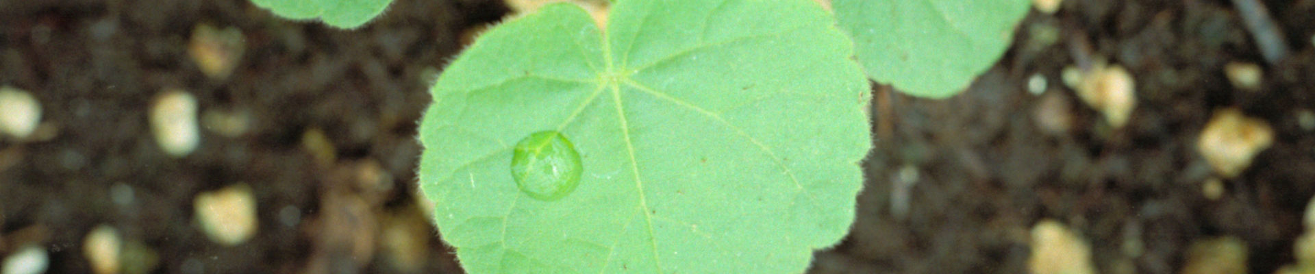 Polyurethane Additives and Surfactants | Dow Inc.