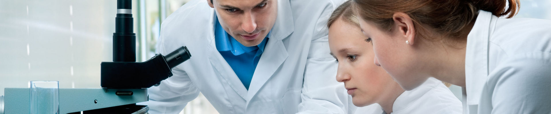 Silicone Pressure Sensitive Adhesive Coating Curing | Dow Inc.