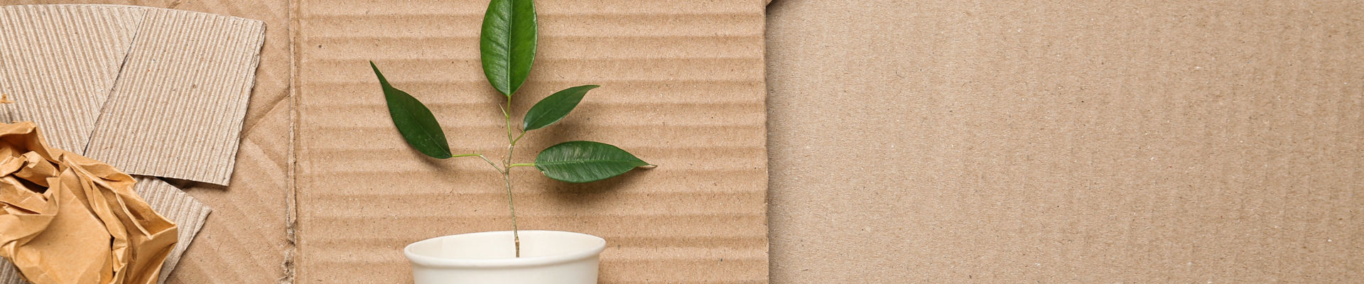 Paper Science Studio | Dow Inc.