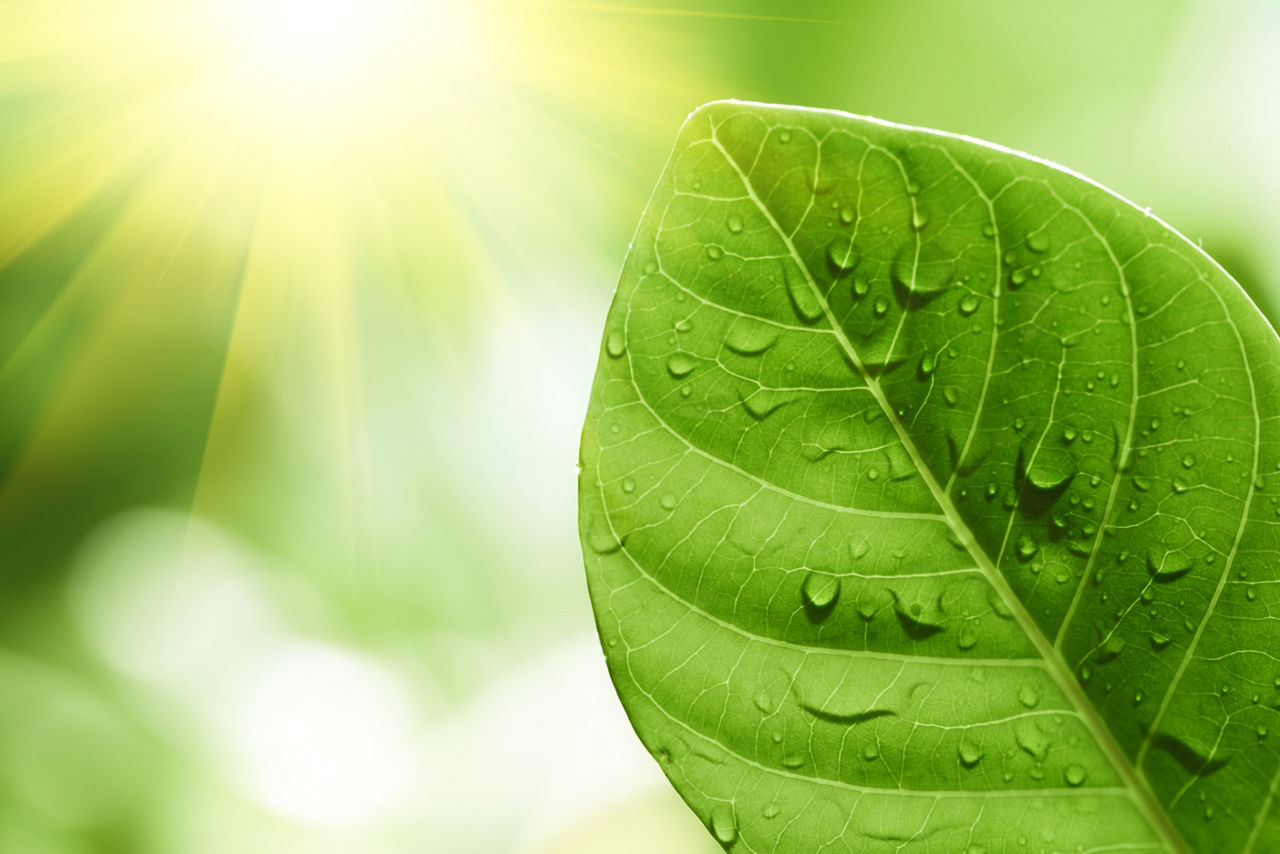 Silanes and Siliconates | Dow Inc.