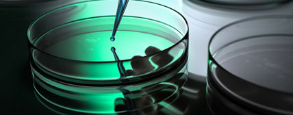 Materials Science for a Better Future | Dow Inc.