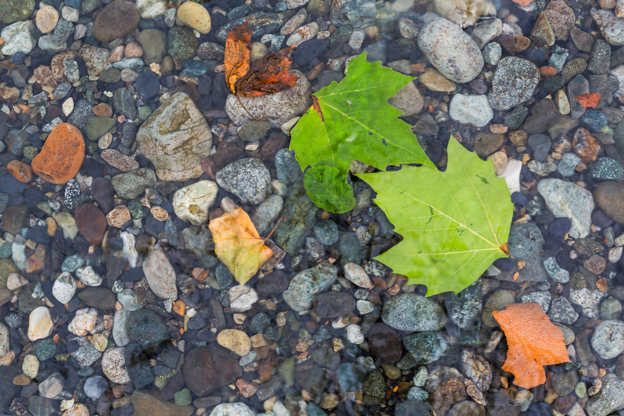 Silanes and Siliconates | Dow Inc.