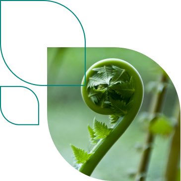 Sustainability Science | Dow Inc.