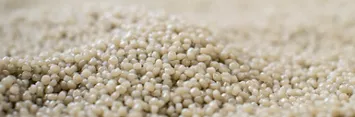 REVOLOOP™ Recycled Plastics Resins | Dow Inc.