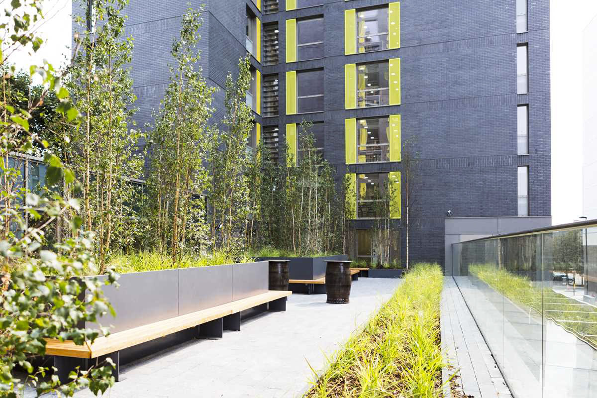 Chapter Lewisham in London, UK