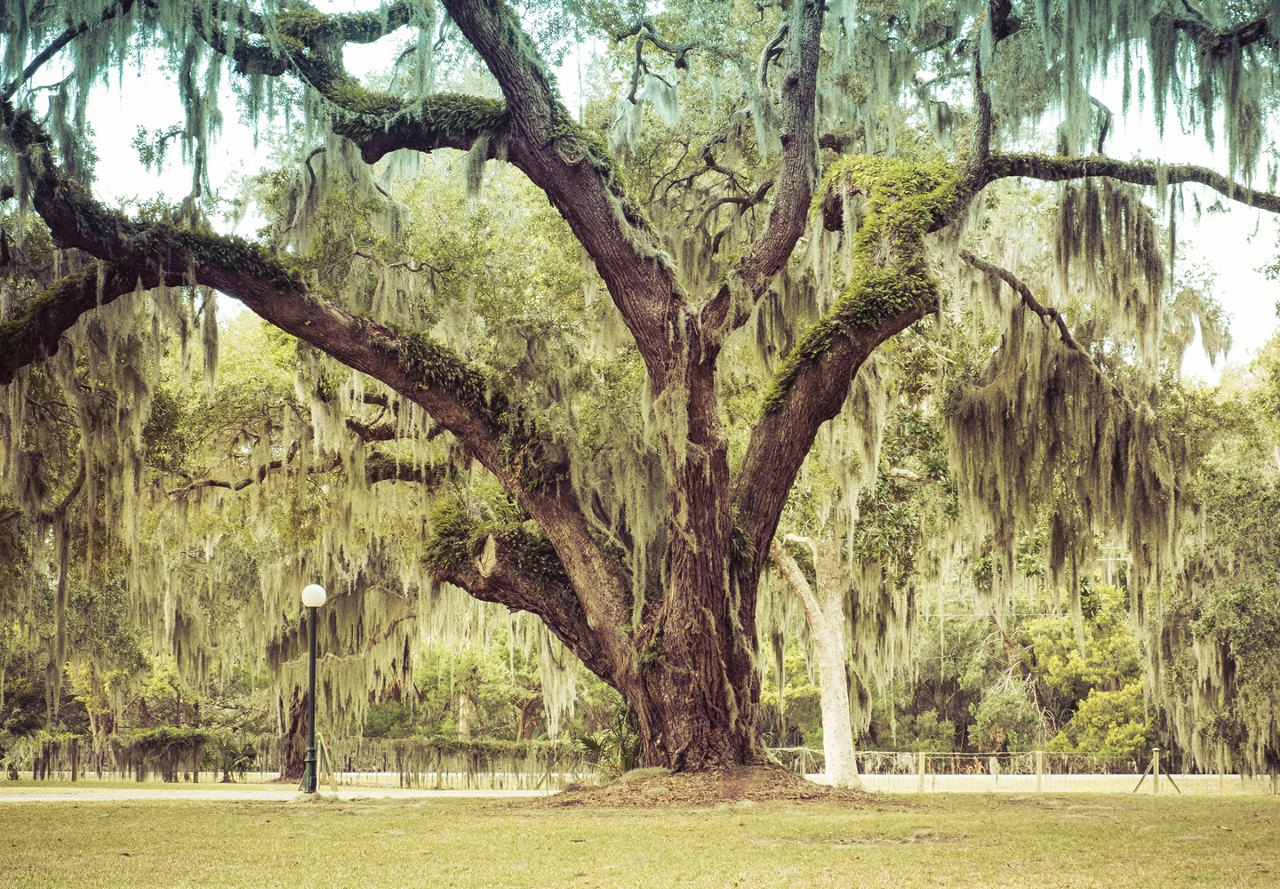 Best Places To Live In Georgia: Neighborhood Guide | Greystar