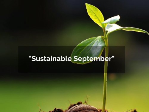 3rd Annual Greystar® Sustainable September | Green Living | Greystar