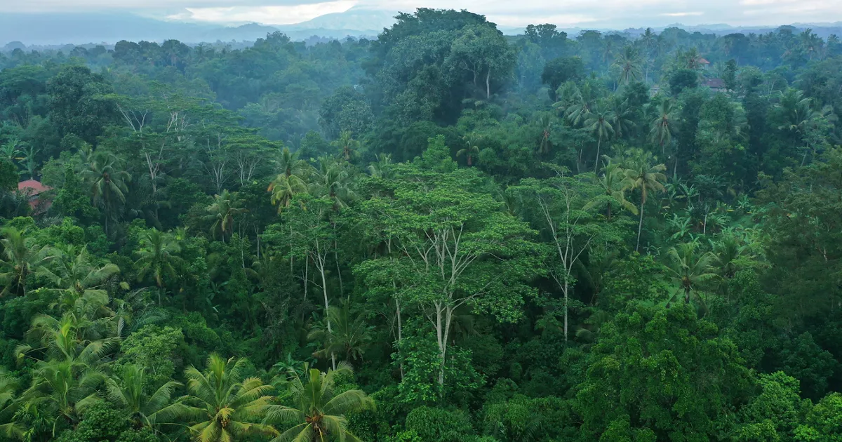 Hitachi Vantara + Google Cloud | Hitachi Vantara