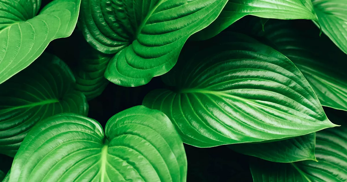 Hitachi Vantara Unveils Inaugural Sustainability Report, Reinforcing ...