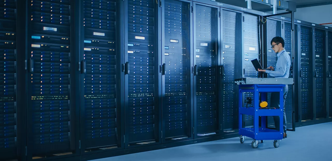 EverFlex Service Catalog | STaaS | Hitachi Vantara