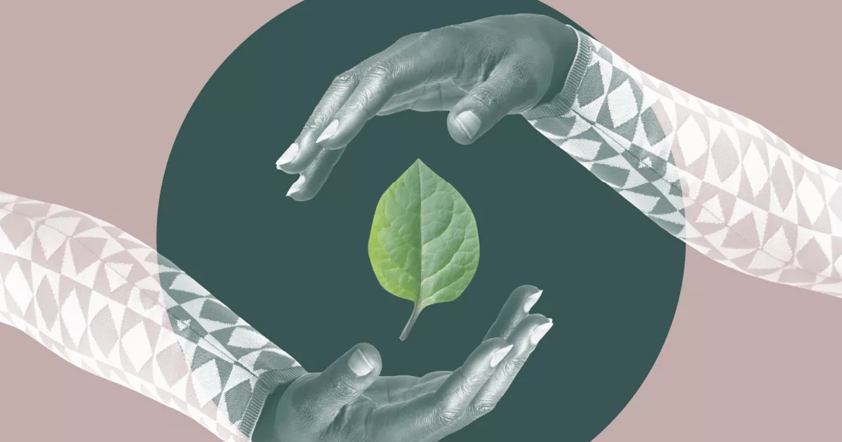 The Power of Ecosystems for Sustainable Business Growth