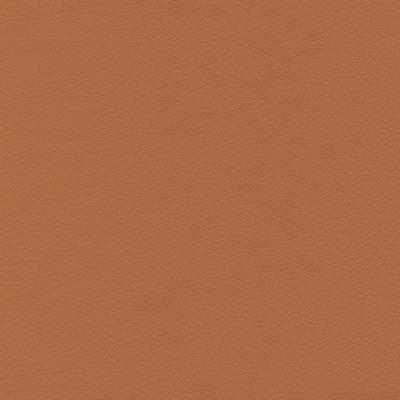 Contourett - Pumpkin | HON Office Furniture