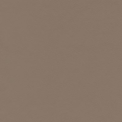 Contourett - Safari | HON Office Furniture