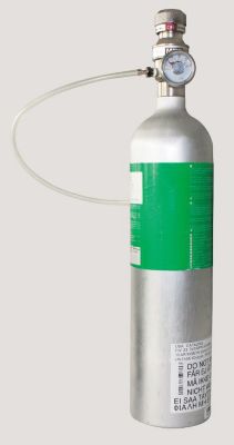 Calibration Testing Gas | MSA Safety | United States