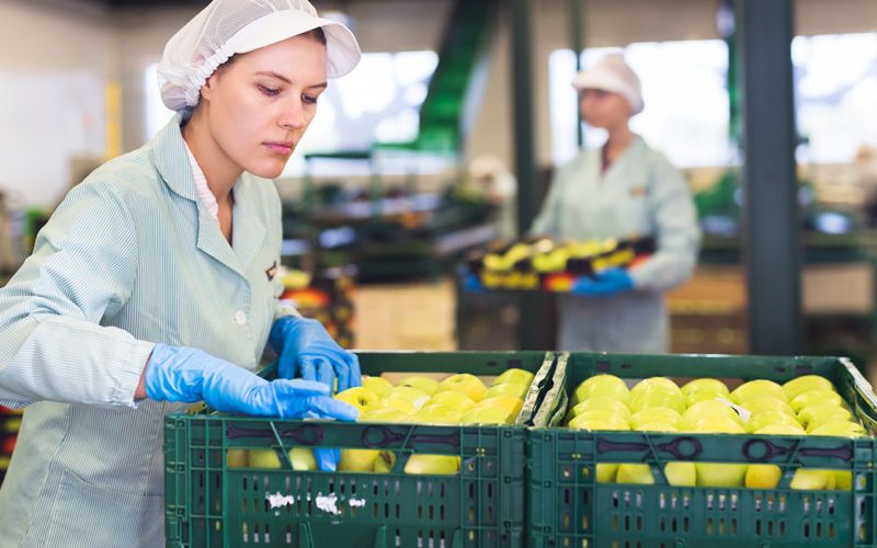 Ethylene Monitoring for Critical Fruit and Vegetable Ripening | MSA ...