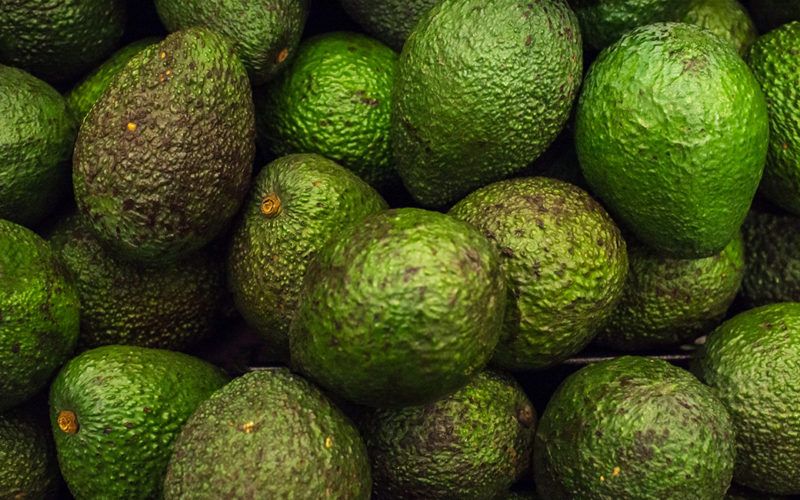 Ethylene Monitoring for Critical Fruit and Vegetable Ripening | MSA ...