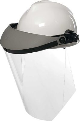 Protetor Facial MSA 200 e 310 in Protetor Facial | MSA Safety | Brazil