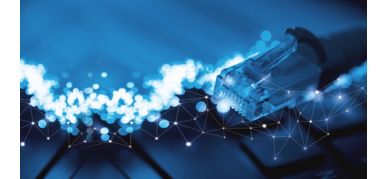 FieldServer: OEMs | MSA Safety | United States