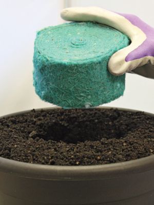 Flower Rocket - Ready to Grow Flower Pods | Solutions