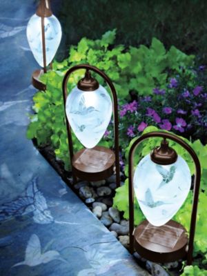 Solar Etched Hummingbird Lights (set Of 3) | Yakilia