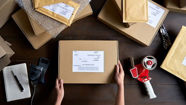 InsureShield® Shipping Insurance by UPS Capital | InsureShield®