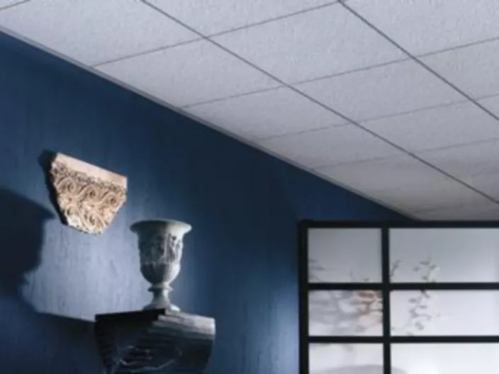 Mould & Moisture | CGC