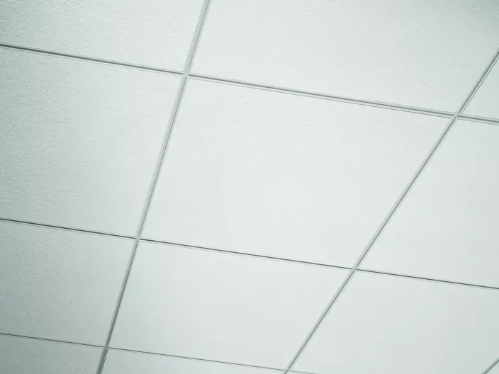 Mould & Moisture | CGC