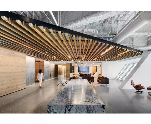 Ceilings Plus® Barz®