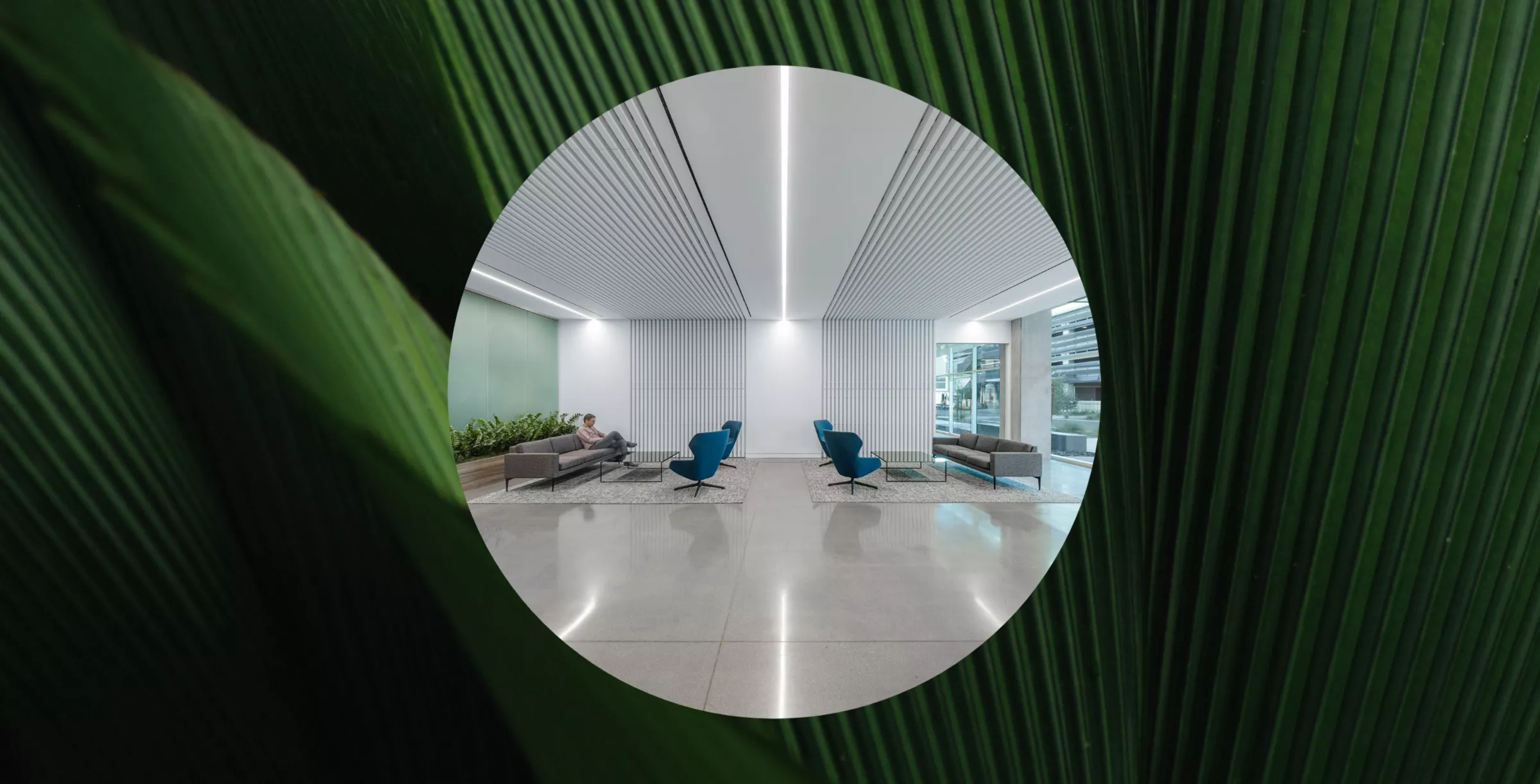 Drywall, Ceiling, Subfloor, Substrate, and Building Envelope ...